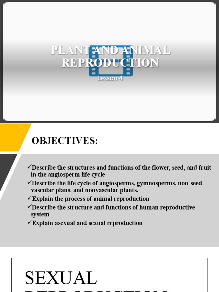 Q4 Lesson 4 Plant and Animal Reproduction | PDF | Sexual Reproduction ...