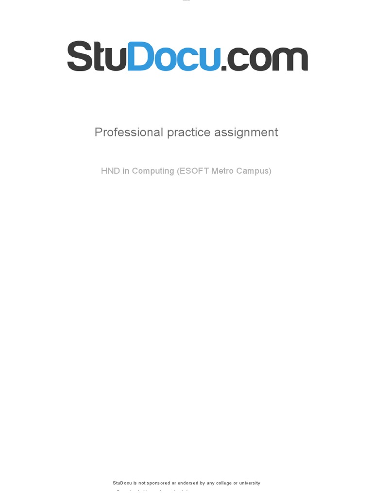 Professional Practice Assignment | PDF | Interpersonal Communication | Goal
