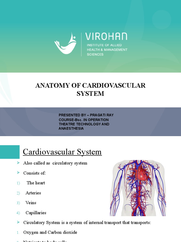Cardiovascular Notes | Download Free PDF | Heart | Heart Valve