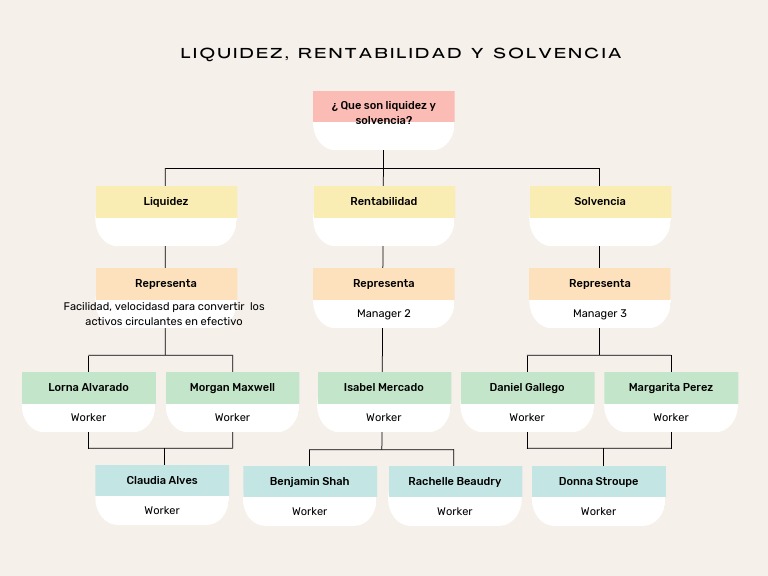 Liquidez, Rentabilidad y Solvencia Mapa Conceptual Avance | PDF