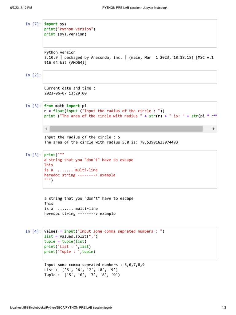Python Pre Lab Session | PDF
