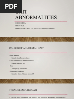 Types of Gait Abnormalities Explained | PDF | Spinal Cord | Peripheral ...