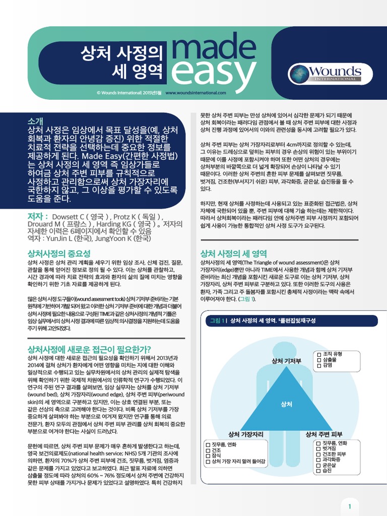 Triangle Wound Assessment Korean | PDF