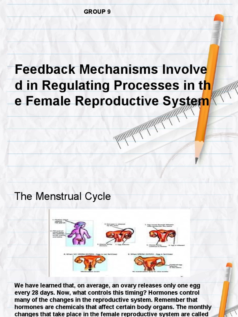 Feedback Mechanisms Involved in Regulating Processes in the Female ...