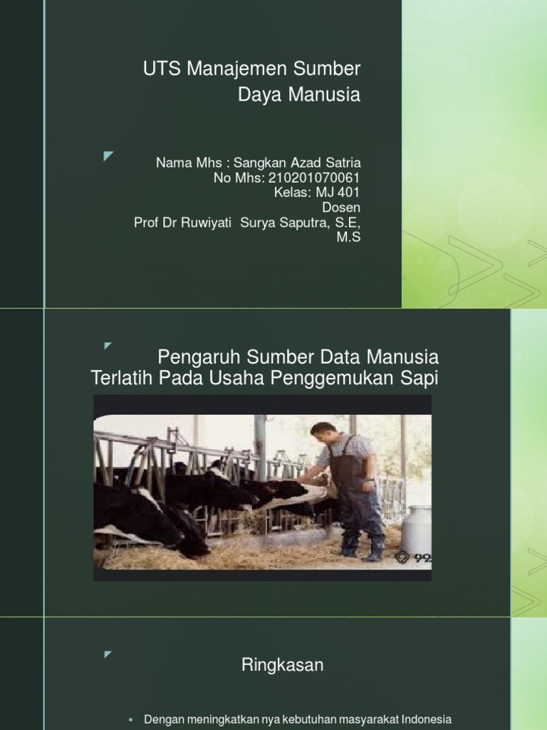 UTS SDM Mj410 Sangkan 210201070061 | PDF