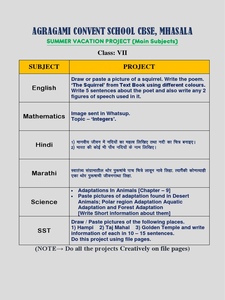Class 7-Summer Vacation Projects | PDF