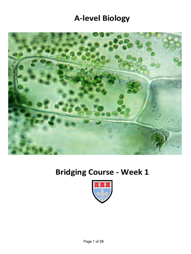 Biology Week 1 FINAL | PDF | Cell (Biology) | Endoplasmic Reticulum