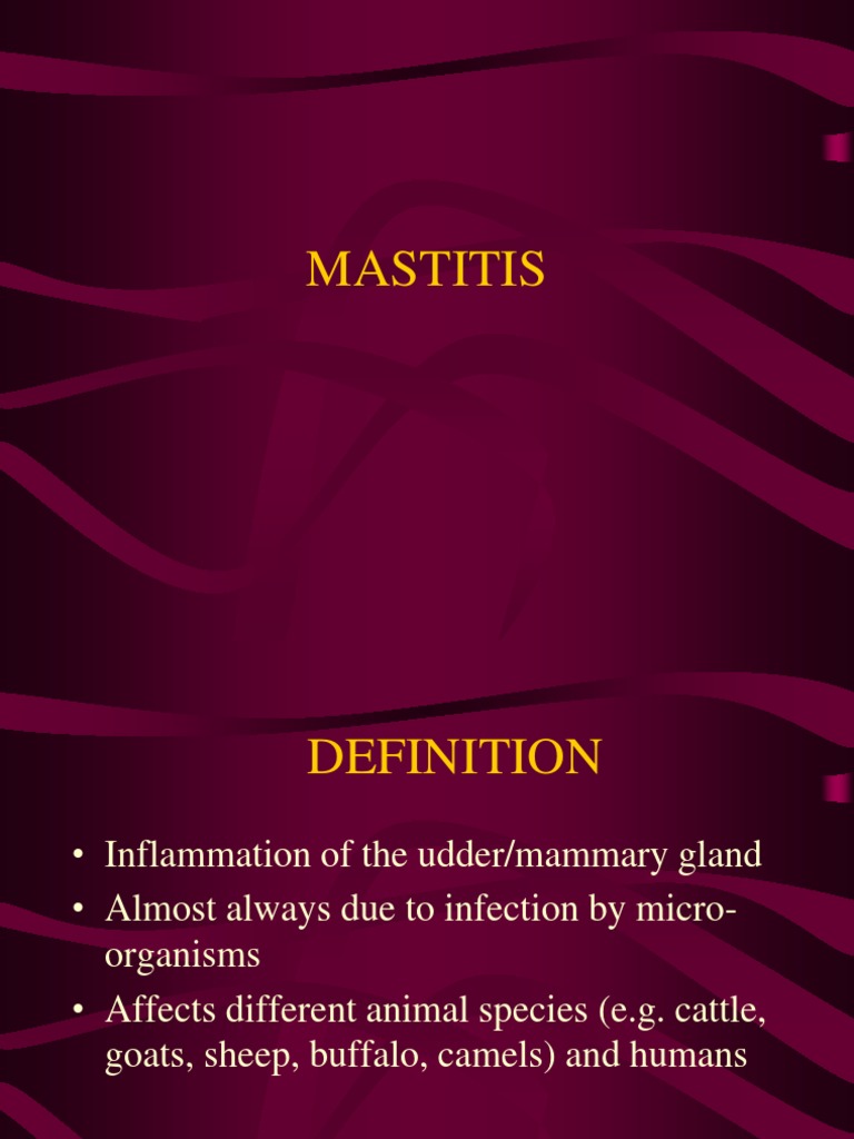 Bovine Mastitis | PDF | Medicine | Medical Specialties