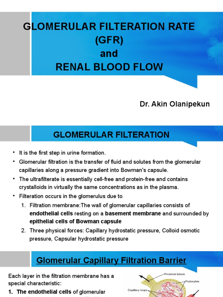 GFR and RENAL BLOOD FLOW | PDF | Kidney | Creatinine