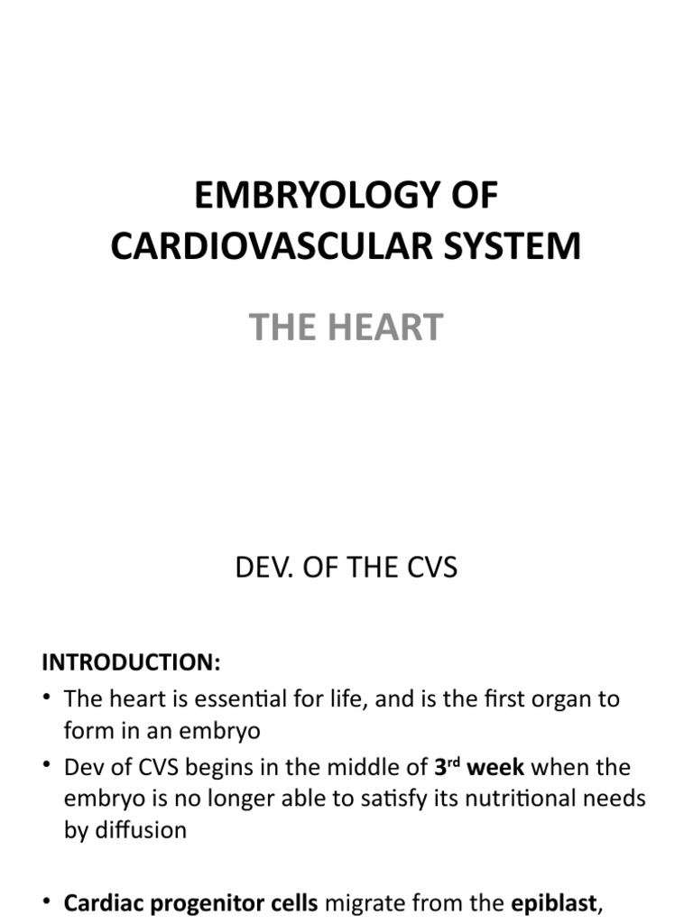 Embryology of Cardiovascular System | PDF | Congenital Heart Defect | Heart