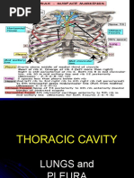 Chapman Points Table | PDF | Anatomical Terms Of Location | Neck