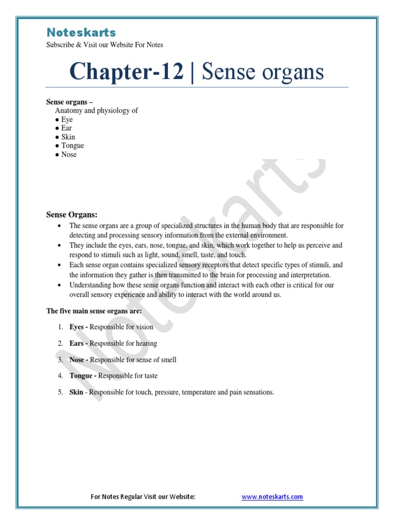 Chapter 12 The Sense Organs Anatomy and Physiology of Eye Ear Skin ...