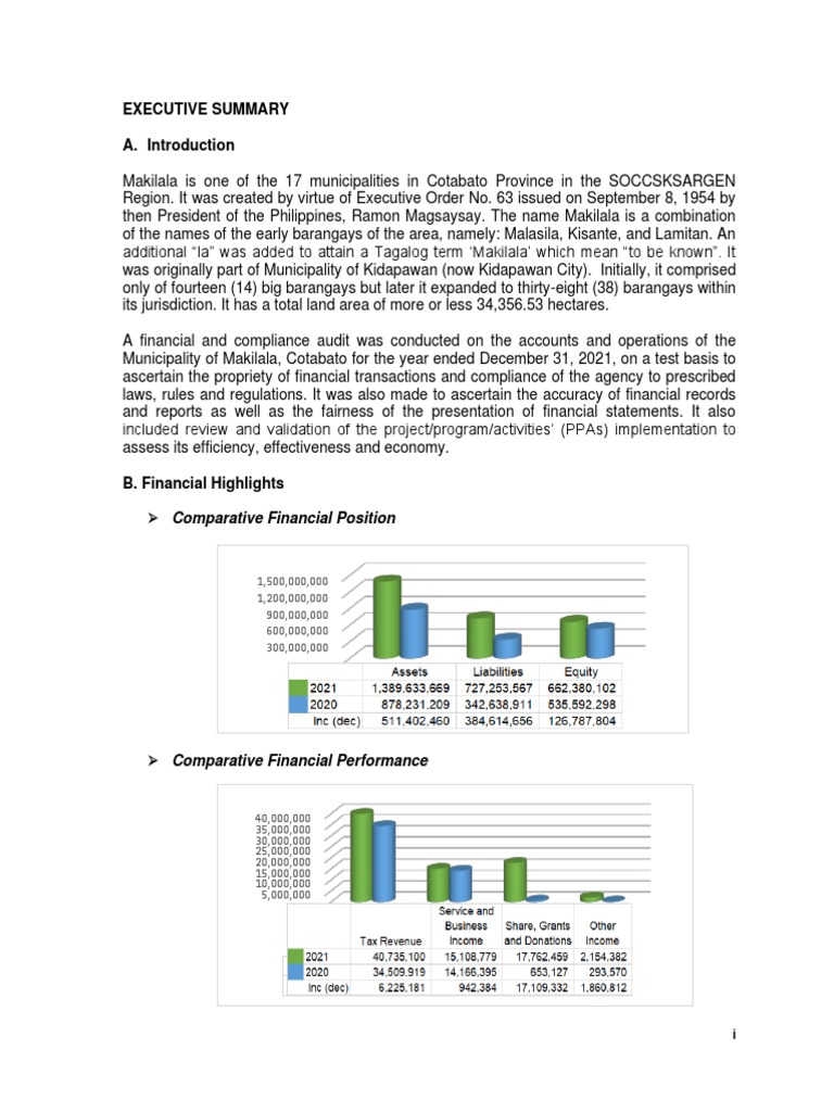 Makilala Executive Summary 2021 | PDF | Waste Management | Financial Statement