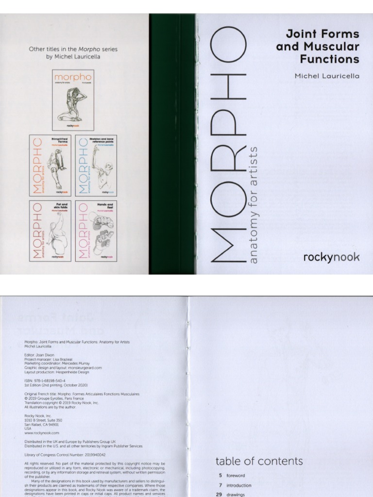 Lauricella, Michel - Morpho Joint Forms and Muscular Functions | PDF