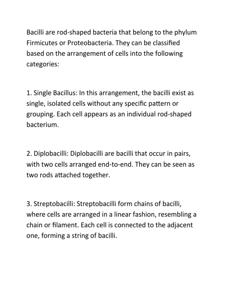 Bacterial Morphology and Cell Arrangement | PDF | Science & Mathematics