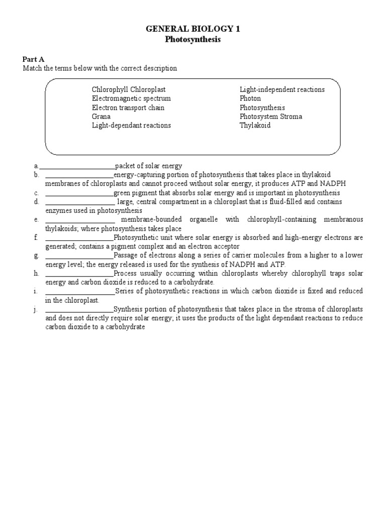 PHOTOSYNTHESIS-WORKSHEET | PDF