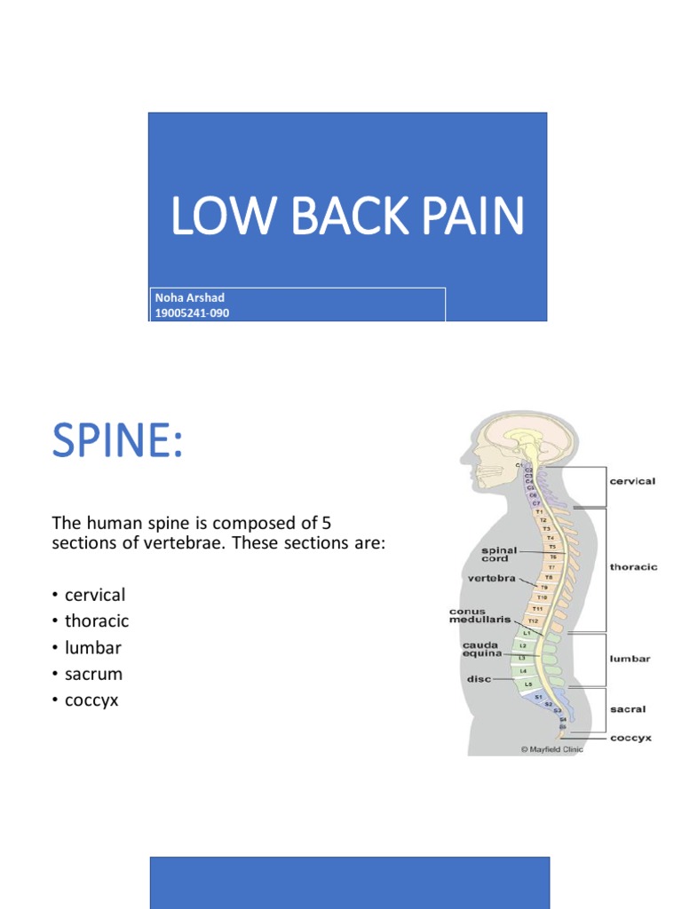 lbp-group-1-pdf