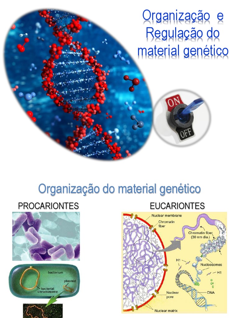 Regulação Material Genetico | PDF