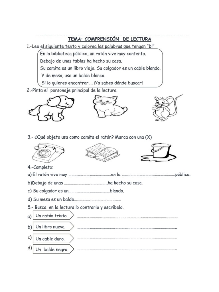 Comprension Lectora Examen BL y BR | PDF