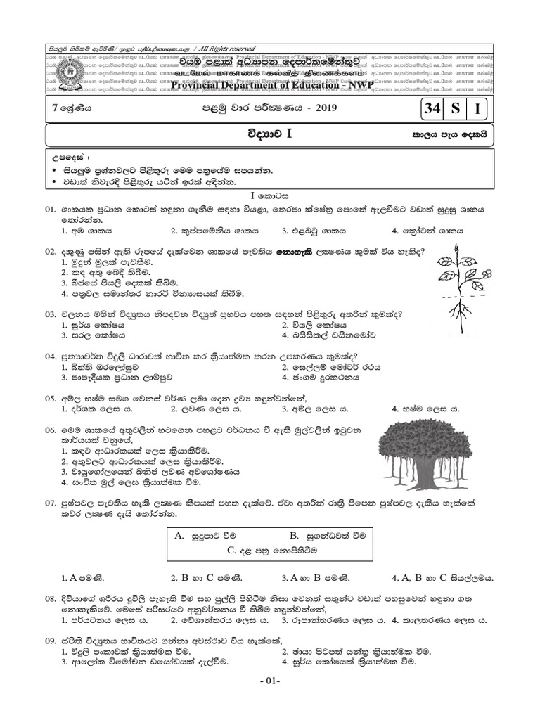 North Western Province Grade 7 Science 2019 1 Term Test Paper ...