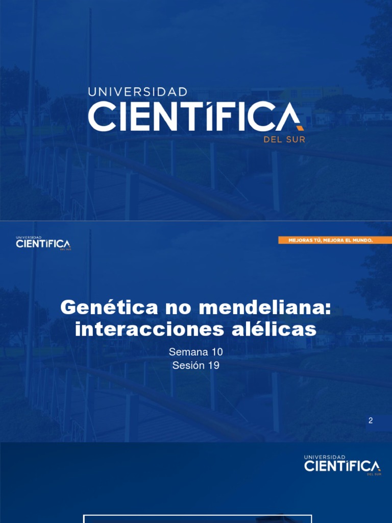 BMYG-2023-1 Ses19 Sem10 TEO Genética No Mendeliana - Codominancia ...
