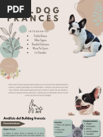 Morfología del perro: Graioides y Occipucio | PDF | Diente | Pastor alemán