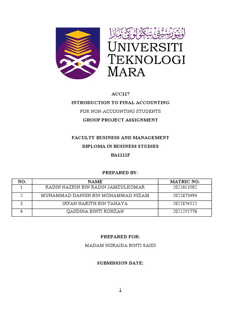 ACC117 Final Accounting Project Report | PDF