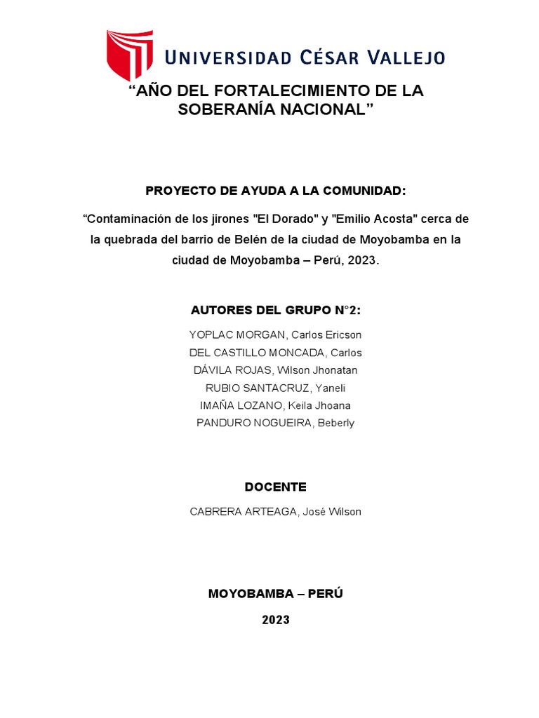 Esquema Basico de Proyecto de Ayuda A La Comunidad | PDF