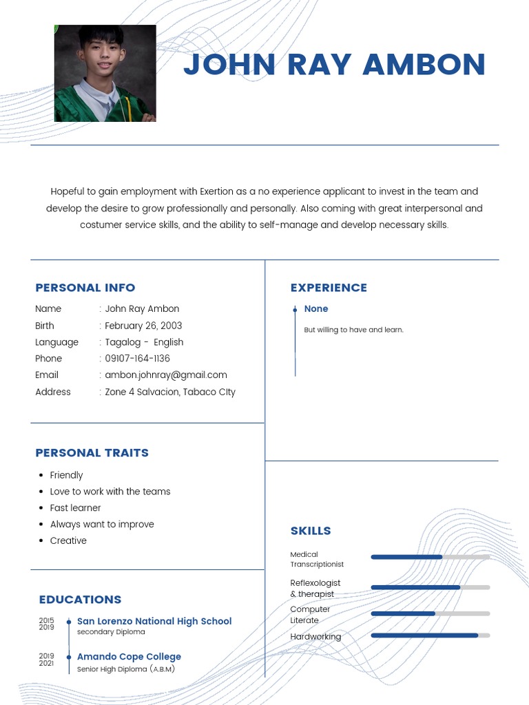 John Ray Ambon: Aspiring Employee Profile | PDF