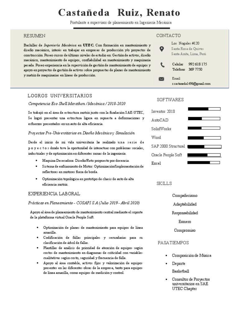 CV - Renato Castaneda Actualizado | PDF