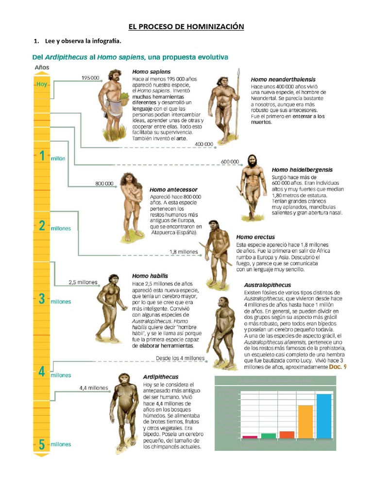 El Proceso de Hominización | PDF