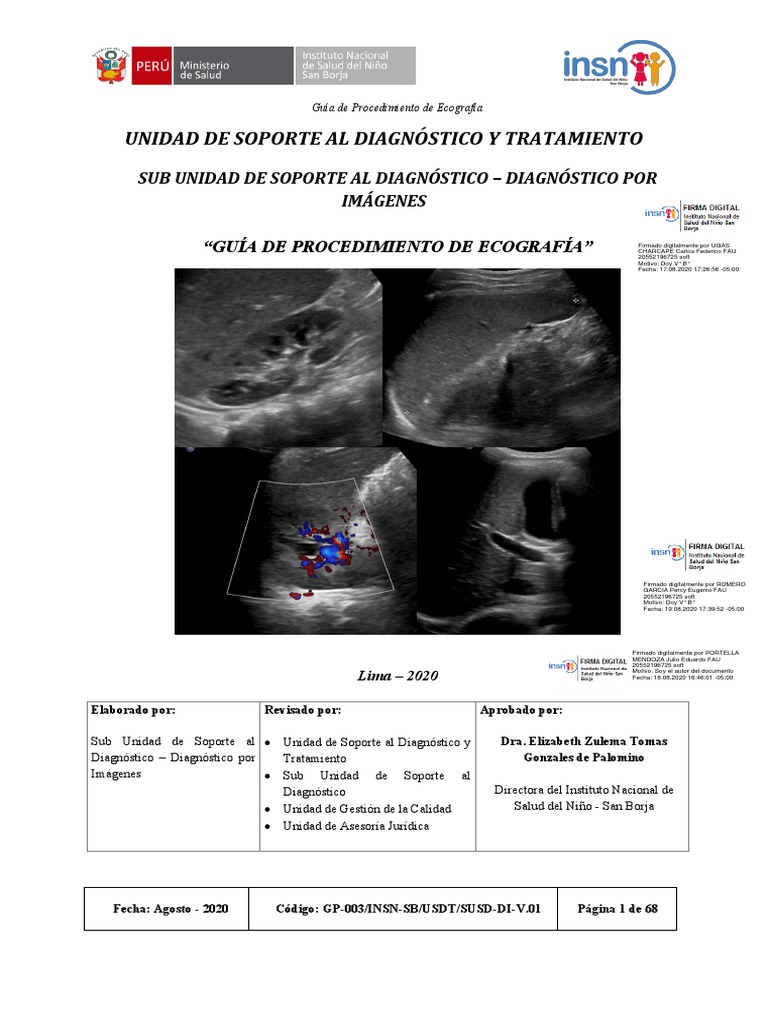 RD #000125-2020-Dg-Insnsb Guia de Procedimiento de Ecografia | PDF | Ultrasonido | Ultrasonido ...