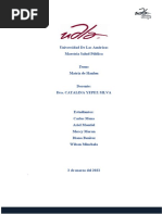 Los Componentes de Las RISS | PDF | Gestión de recursos humanos ...