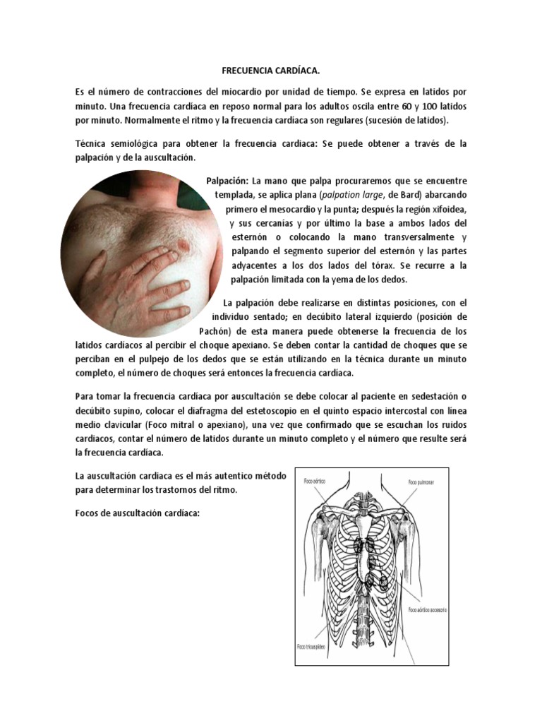 Frecuencia Cardíaca. Semio. | PDF | Corazón | Sistema cardiovascular