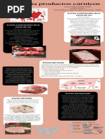 Partes y Cortes de la Res | PDF | Carne | Alimentos