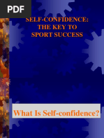 Vealey's Sports Confidence Model | PDF | Metaphysics Of Mind | Behavior ...