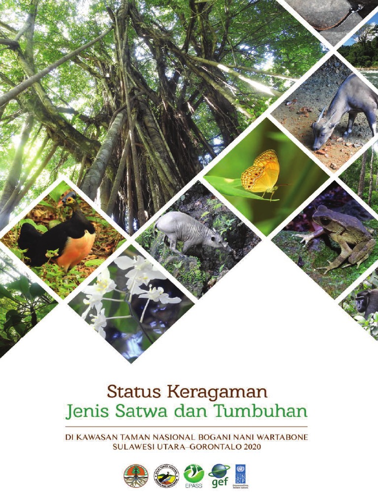 Status Keragaman Jenis Satwa Dan Tumbuha | PDF