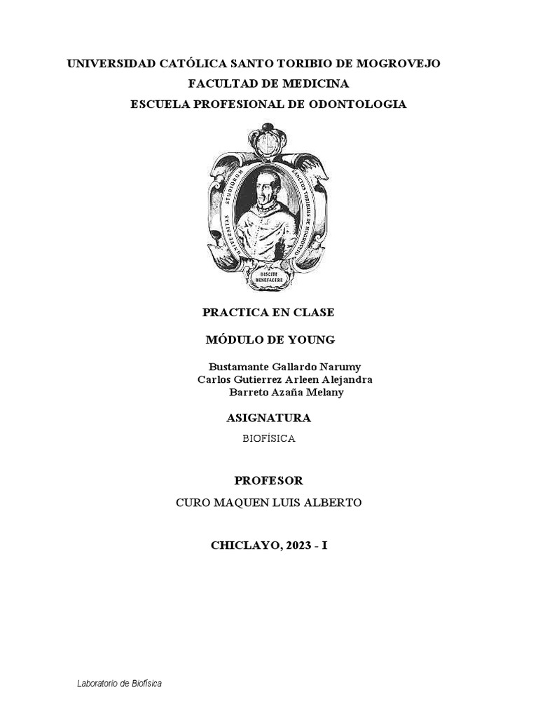 Informe - Módulo de Young | PDF