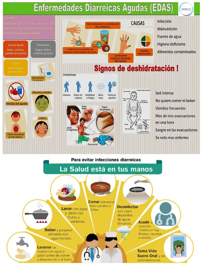 Enfermedad Diarreica Aguda | PDF