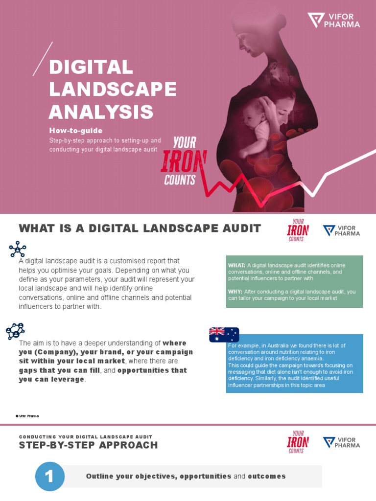 How To Conduct A Digital Landscape Audit | PDF | Methodology | Audit