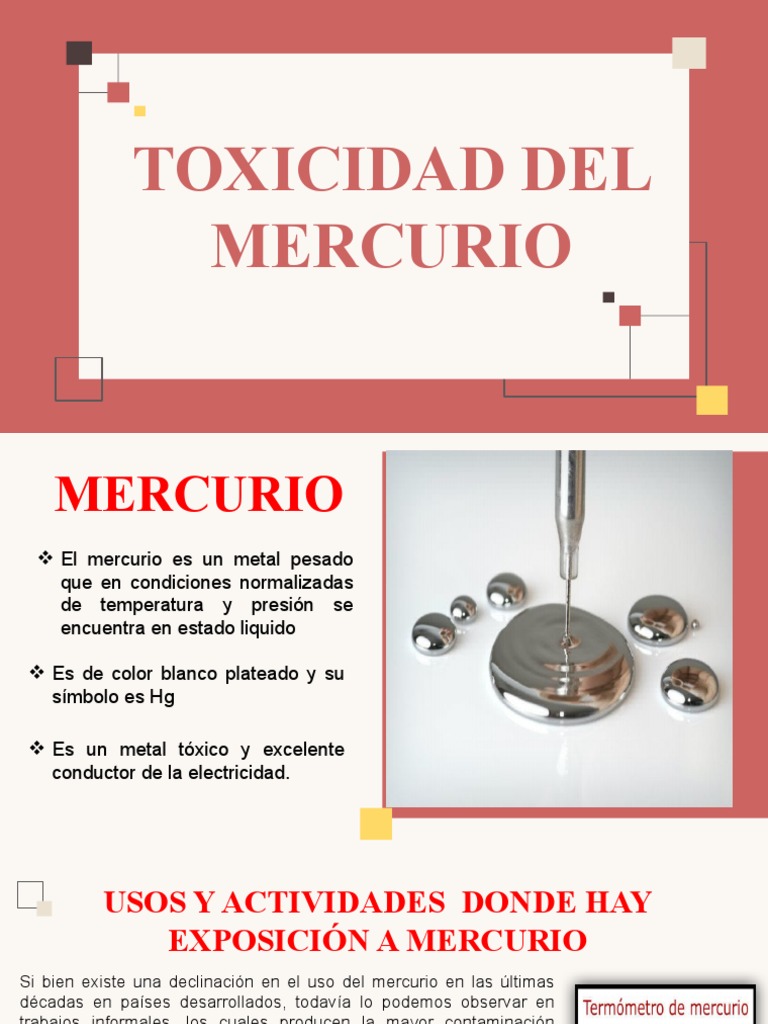 Toxicidad Del Mercurio | PDF