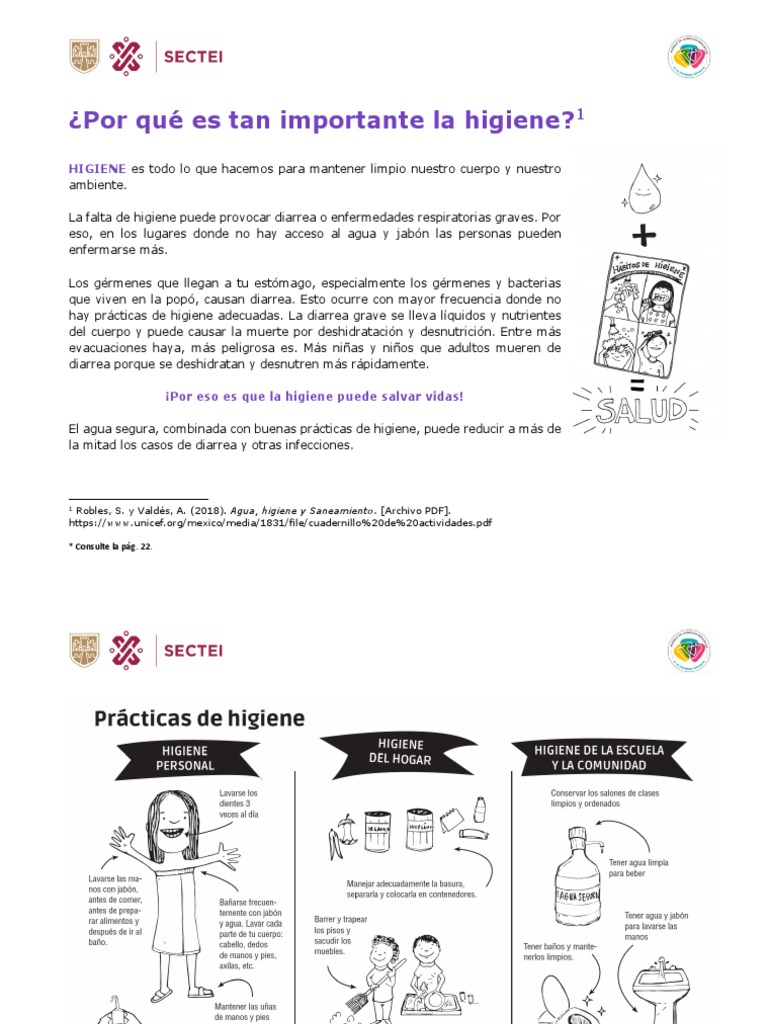U1l3 ¿Por Que Es Tan Importante La Higiene | PDF