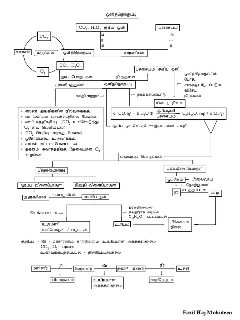 O level science short note | PDF
