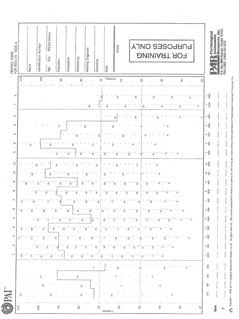 PAI Profile Form | PDF