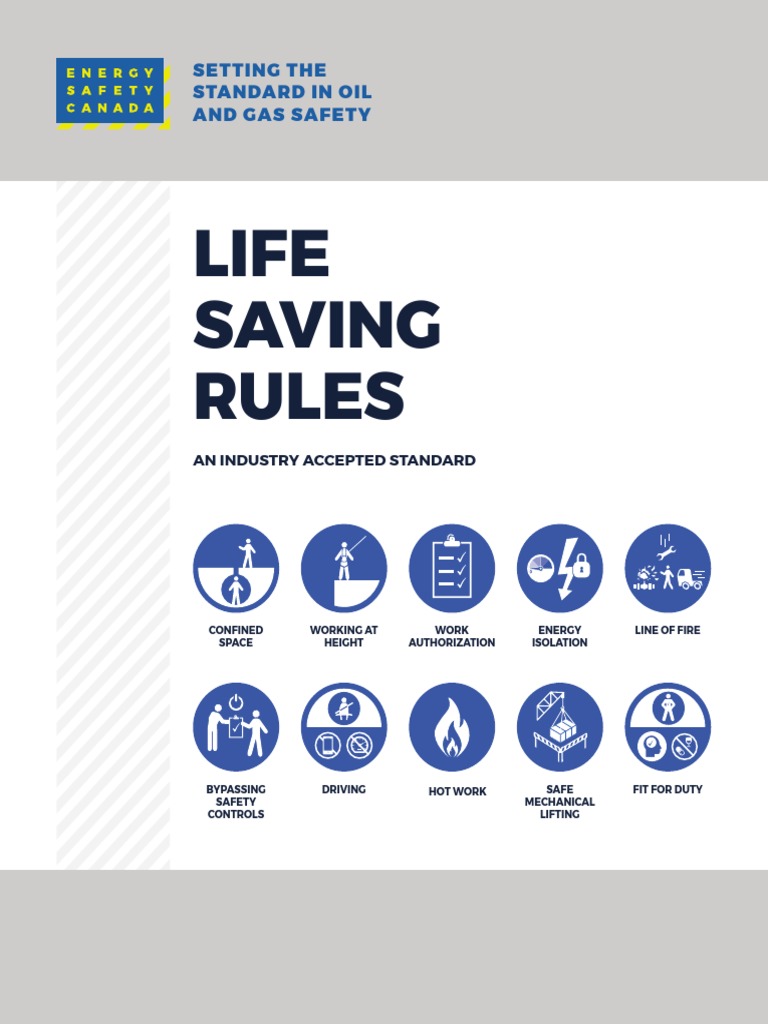 ESC LSR Overview | PDF | Occupational Safety And Health | Safety