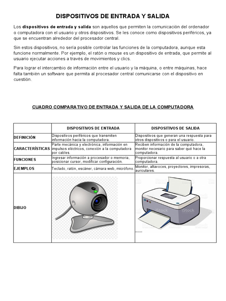 Ficha de Trabajo DISPOSITIVOS DE ENTRADA Y SALIDA | PDF