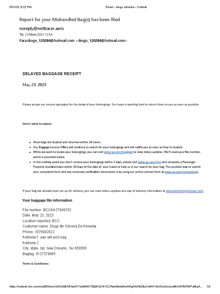 Baggage Delay Update for Diogo | PDF