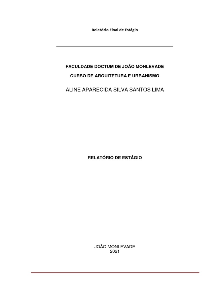 Relatorio Aline | PDF