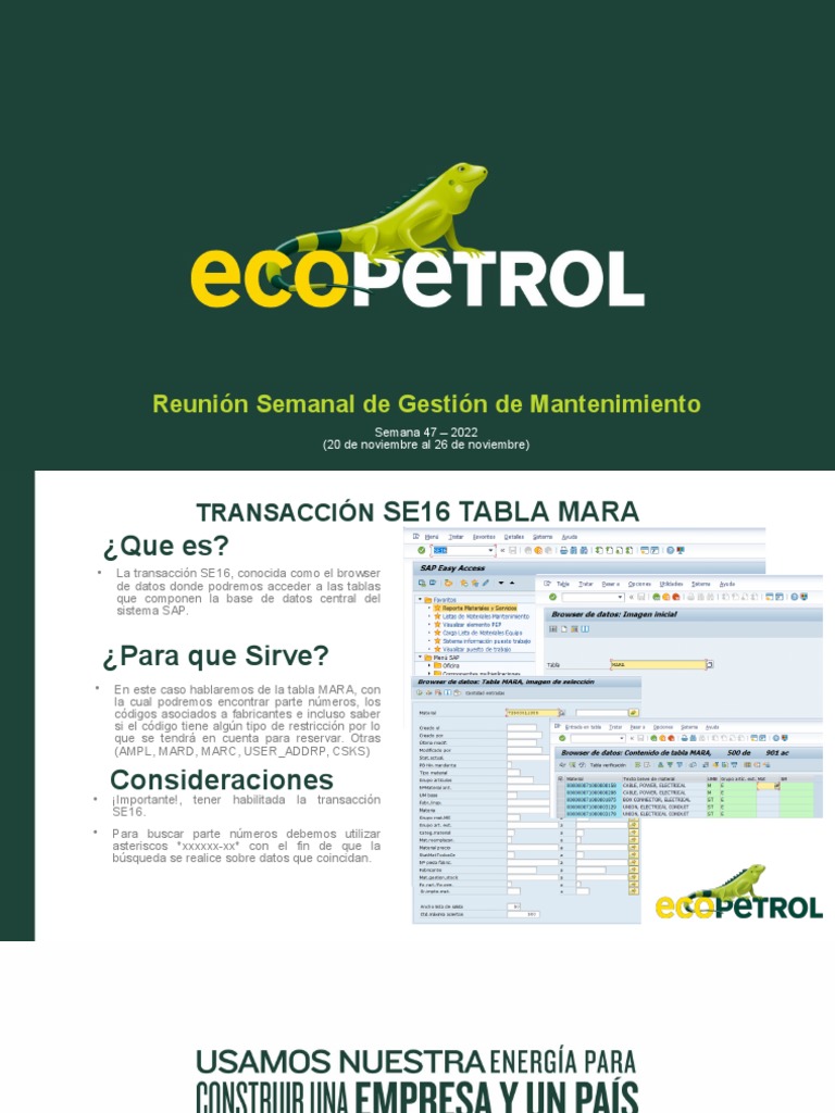 Uso de la Tabla MARA en SAP | PDF