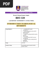 PHY 150 Lab Report 1 | PDF | Capacitance | Capacitor